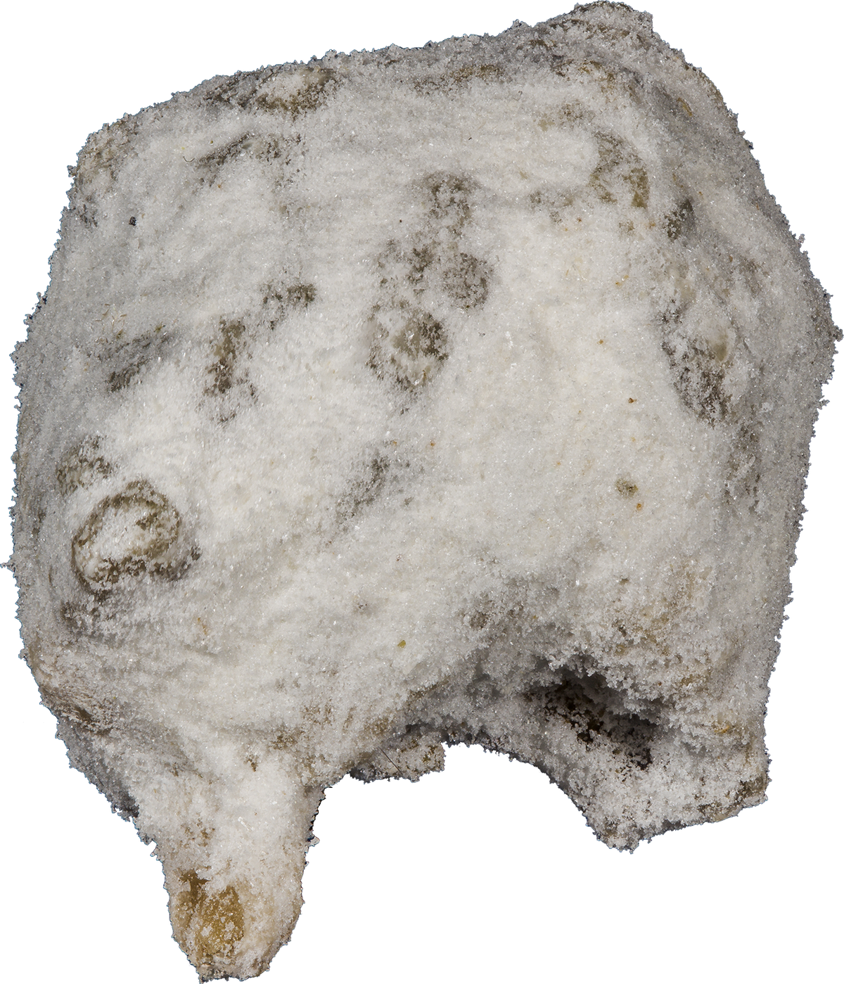 Hampster Tilbyder Premium Hash og Topskud - Bedste Kvalitet i Danmark